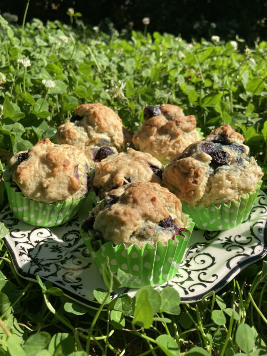 35 bakes of summer 2022 photo gallery!! – Yummy Vegan Bakes